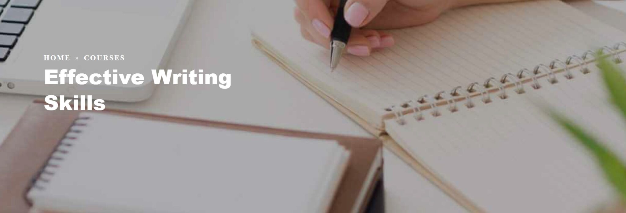 Effective Writing Skills – Nanyang Valley